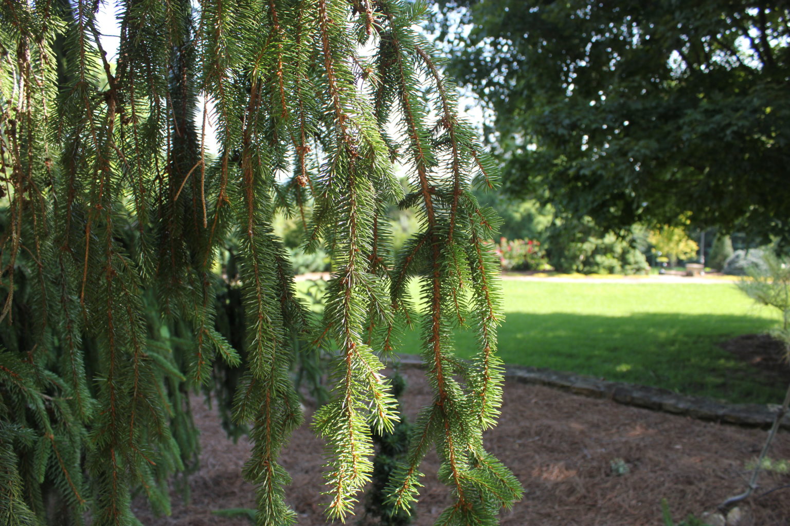 Jerry E Baker Foundation | Baker Arboretum