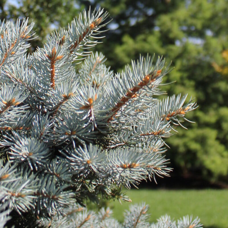 Jerry E Baker Foundation | Arboretum, Museum, & Events Space